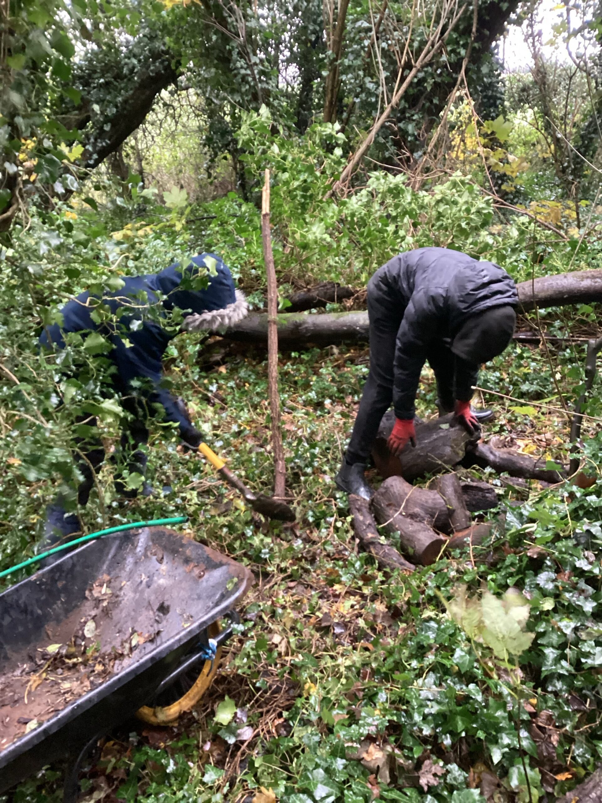 8B Outdoor Education - Medway Green